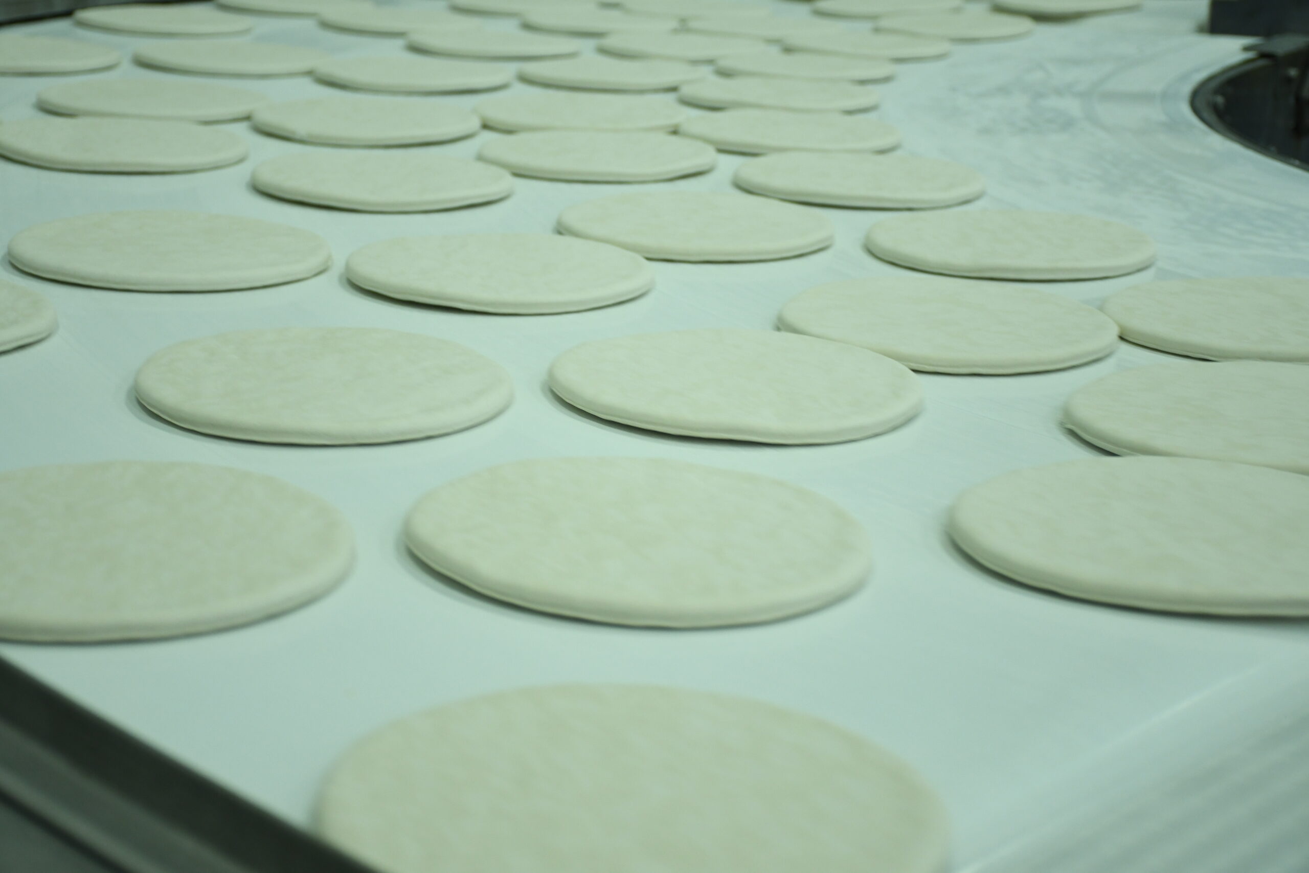 Pizza discs On lIne_1883 - Bama Companies